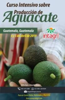 Curso Intensivo sobre Producción de Aguacate en Guatemala - Inicio | Intagri S.C.